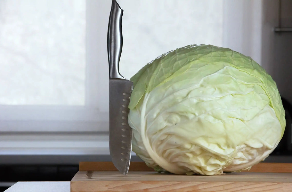How to Core Cabbage Like a Pro (No Fancy Tools Needed) – Kyoku Knives