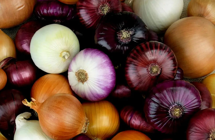 How to Cut an Onion (4 techniques: quarters, strips, cubes, rings ...