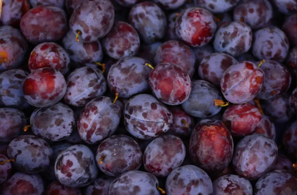 Best Tips On How To Eat a Plum – Kyoku Knives